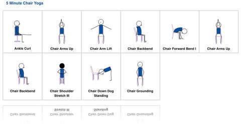 Free Downloadable Chair Yoga Lesson Plan | GeorgeWatts.org