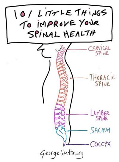 21 Yoga Poses For Your Spine: 101 Ways To Improve Spinal Health