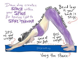 Downward Facing Dog: 59 Modifications & Free Class Plan