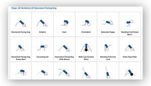 Downward Facing Dog: 59 Modifications & Free Class Plan