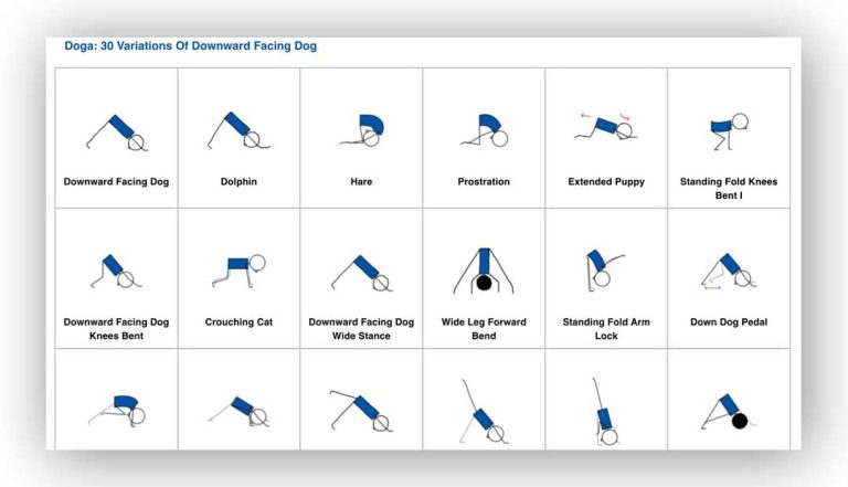 Downward Facing Dog: 59 Modifications & Free Class Plan